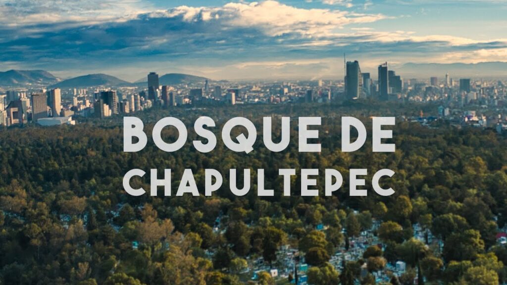 Explore Bosque de Chapultepec: Mexico's World-Renowned Urban Park Gem ...